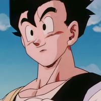 Son Gohan MBTI Personality Type: INFP or INFJ?