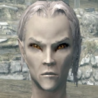 Nimriel MBTI Personality Type: ENFJ or ENFP?