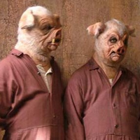 🔥 Pig Slaves MBTI Personality Type ISFJ or ISFP?