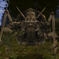 Field Raider (Beast) - Discussion on PDB