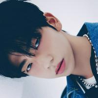 Haemin (8TURN) - Discussion on PDB