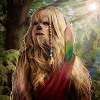 Wookiee - Discussion on PDB