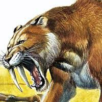 Smilodon (Saber-Tooth Cat) MBTI Personality Type: ENTJ