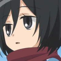 Mikasa Ackerman MBTI Personality Type: ISTJ