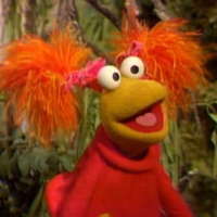 Red Fraggle - Discussion on PDB
