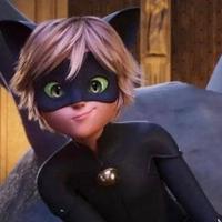 Chat Noir MBTI Personality Type: ENTP