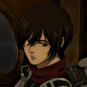 Mikasa Ackerman MBTI Personality Type: ISTJ