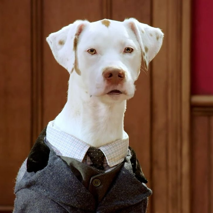 🔥 Professor Fitz MBTI | Pup academy Personality Types