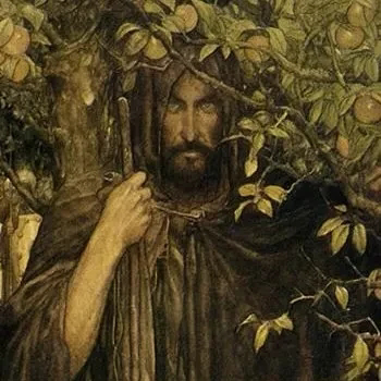 What do you think Pwyll's personality is?