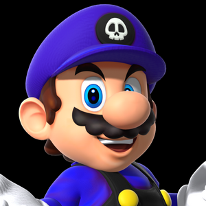 SuperMarioGlitchy3 (SMG3) MBTI Personality Type: ENTJ