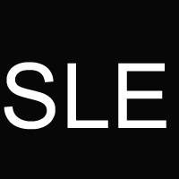 SLE MBTI Stereotypes: ENTJ