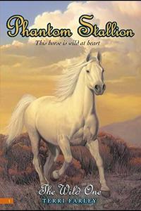 🔥 Terri Farley - The Phantom Stallion series MBTI Personality Types