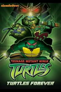 🔥 Teenage Mutant Ninja Turtles (2003) MBTI Personality Types