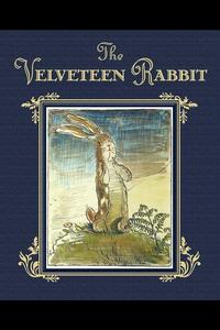 🔥 The Velveteen Rabbit MBTI Personality Types