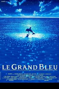 🔥 The Big Blue MBTI Personality Types