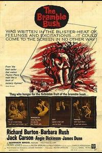 🔥 The Bramble Bush (1960) MBTI Personality Types