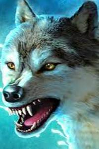 🔥 The Wolf Online Simulator Skins (type yourself) MBTI Personality Types