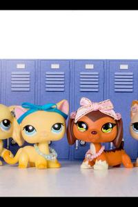 🔥 LPS Popular Remake MBTI Personality Types