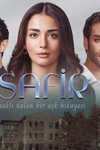 🔥 Safir MBTI Personality Types