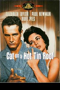 🎭 Cat on a Hot Tin Roof MBTI Personality Types - Pdb App
